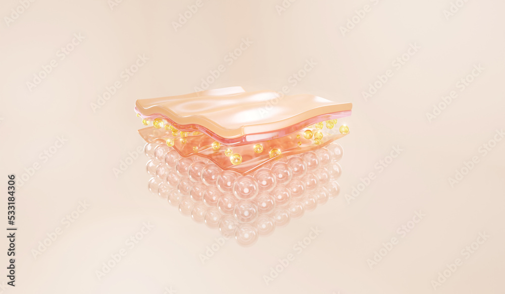 collagen and vitamin under skin cell. serum through the skin layer and ...