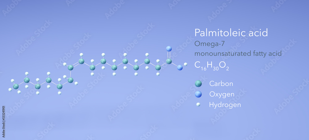 Palmitoleic acid, molecular structures, omega-7, 3d model, Structural ...