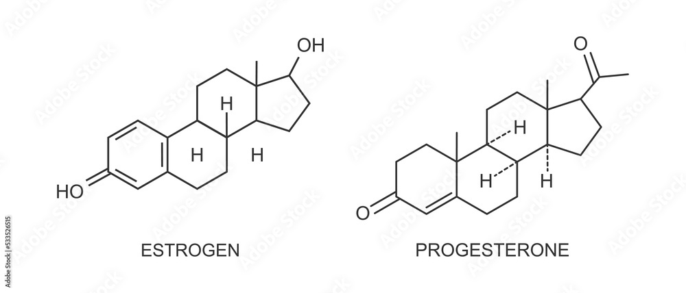Image vectorielle Stock Estrogen and progesterone icons. Female reproductive sex hormones ...