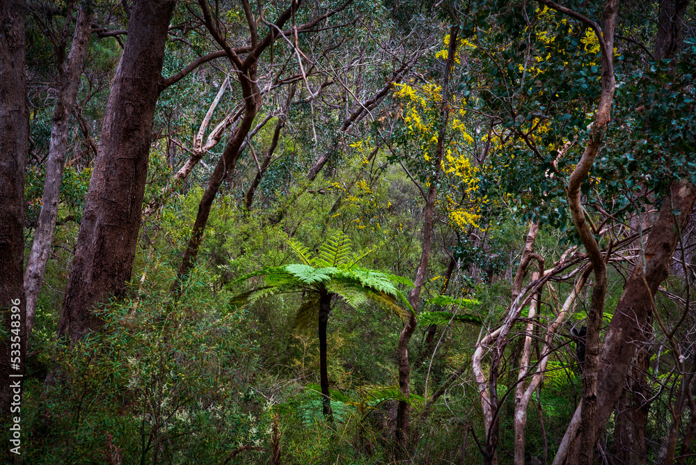 Serpentine Falls is one of Perth’s best waterfalls and is stunning ...