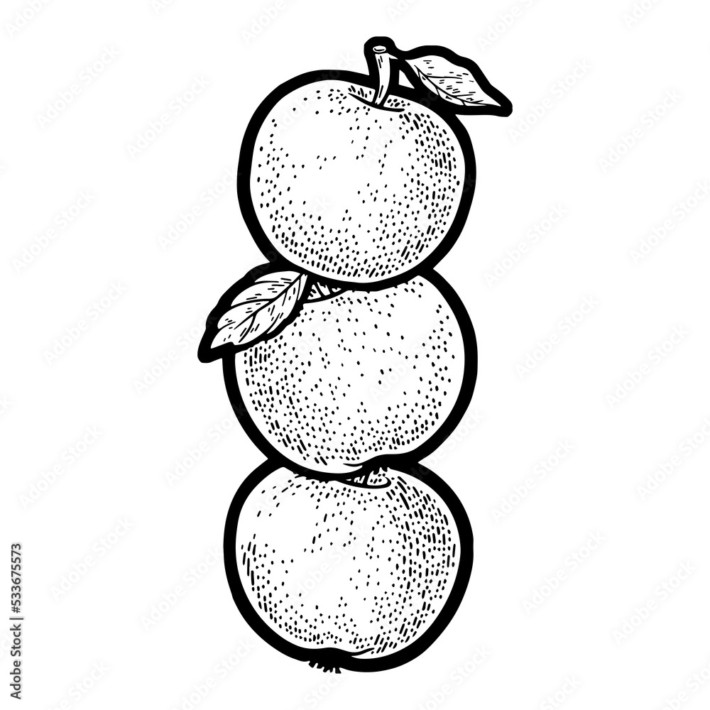 Apples tower sketch PNG illustration with transparent background Stock ...
