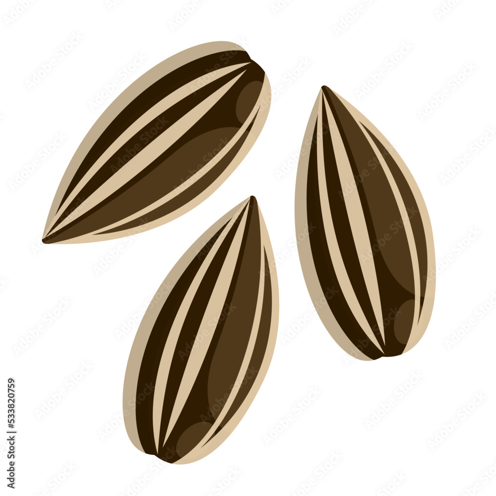 sunflower seeds flat vector illustration logo icon clipart Stock Vector | Adobe Stock