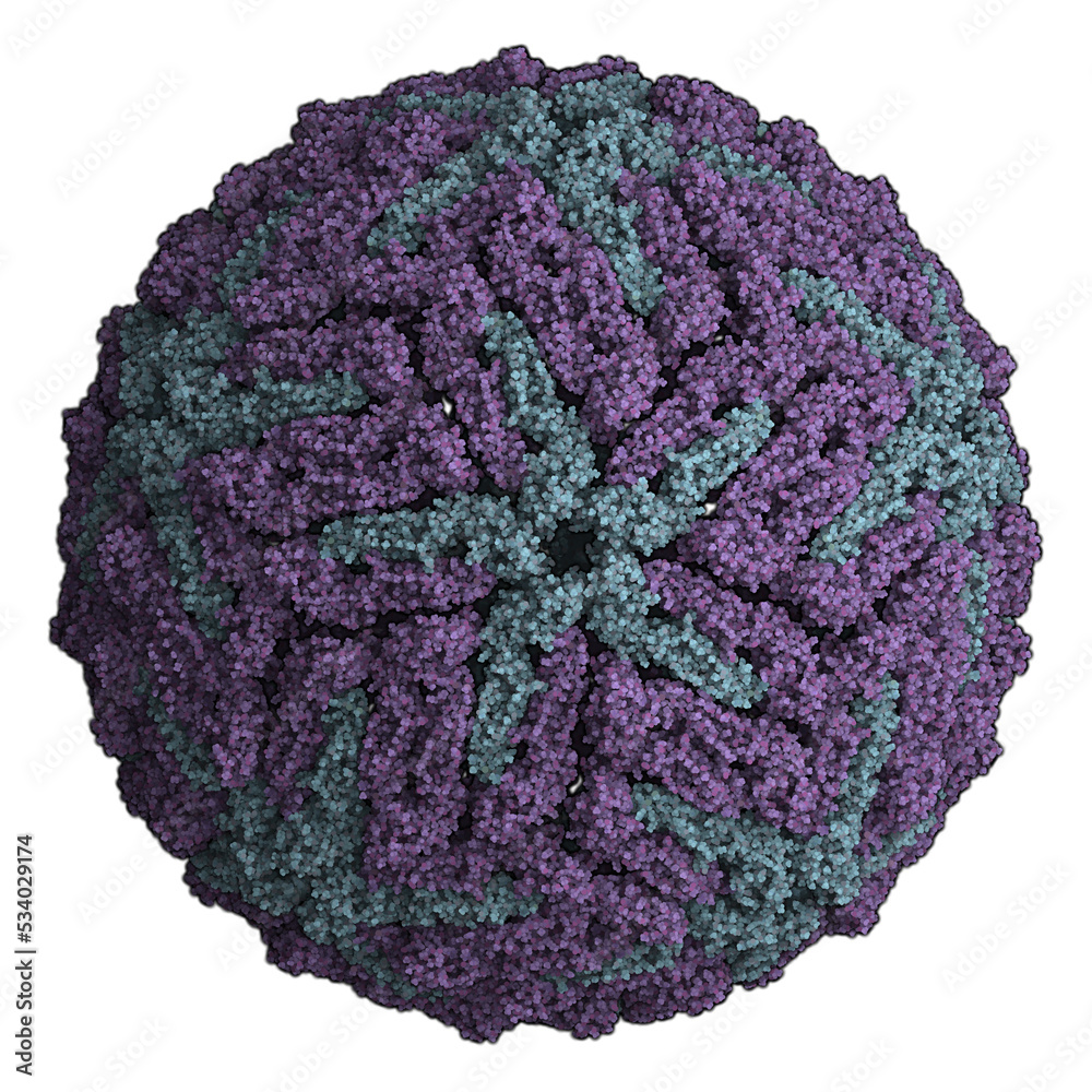 Dengue virus. Causes dengue fever (breakbone fever). Atomic-level ...