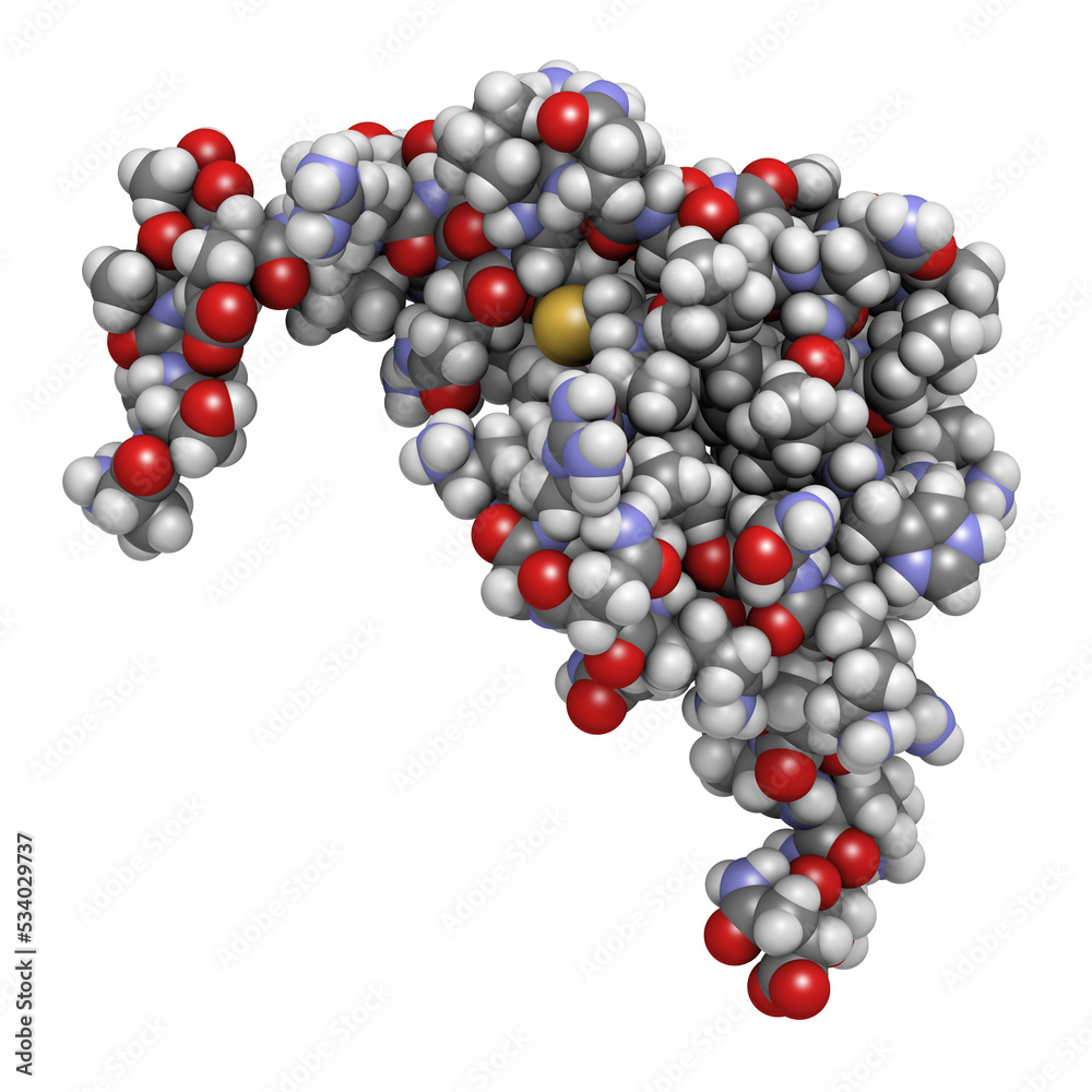 CXCL1 cytokine (AKA melanoma growth-stimulatory activity), chemical ...