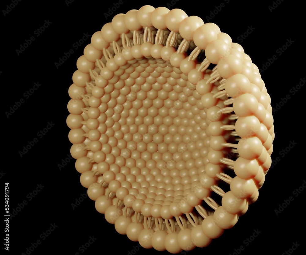 Niosomes are the microscopic lamellar structures in an emerging drug ...