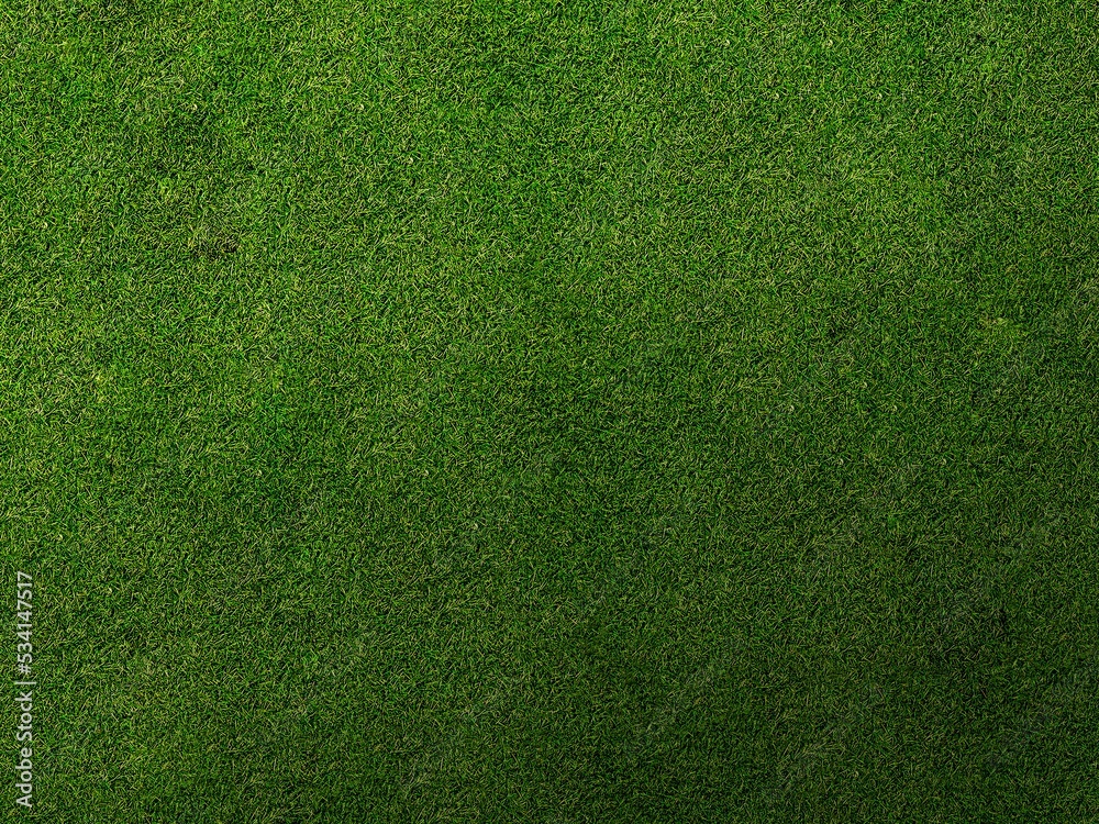 Realistic Grass Texture for Garden, Mockup, Sports and Football Pitch ...