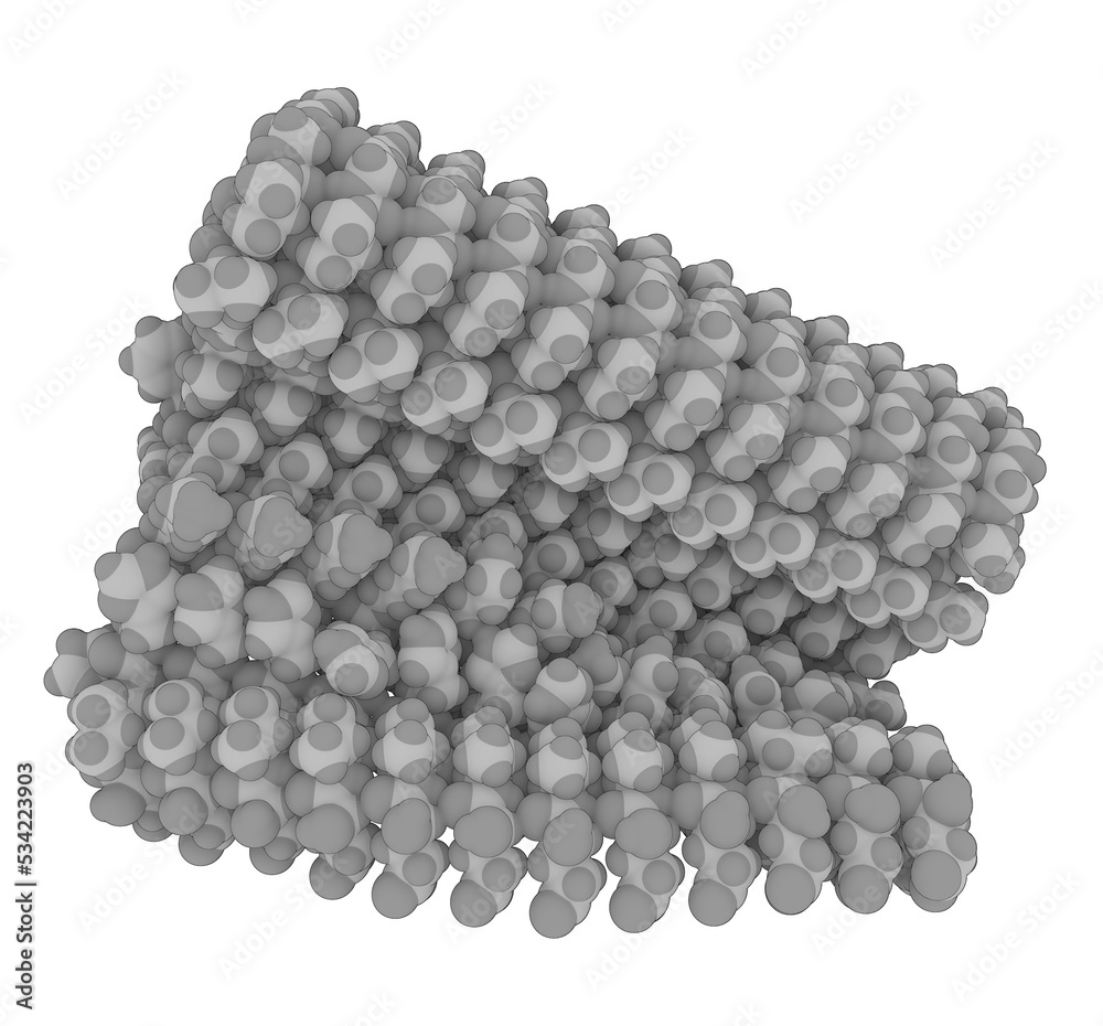 3D structure of the Alzheimer's disease amyloid beta fibril aggregate ...