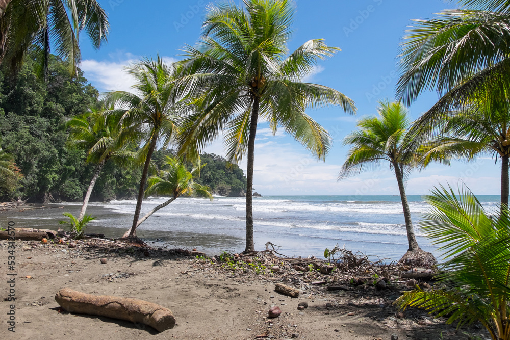 Paisaje con palmeras en Playa Ventanas en la costa del Pacífico de ...