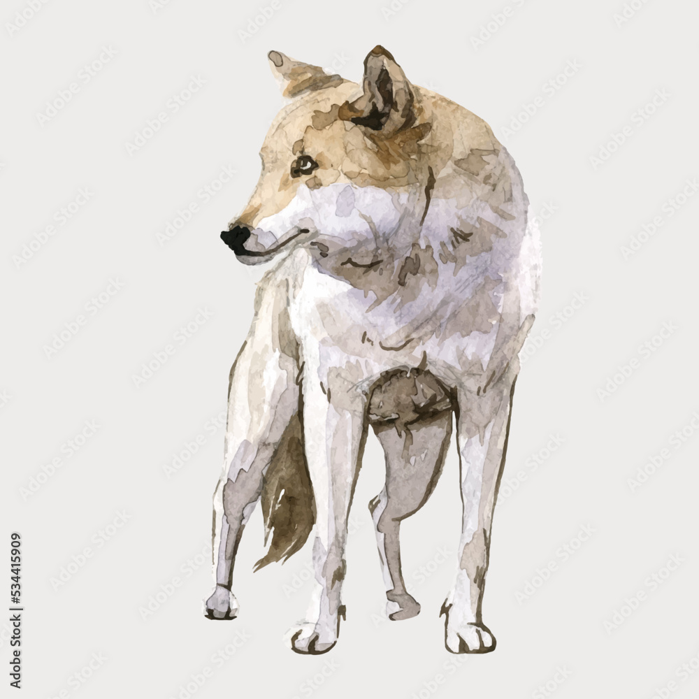 Beautiful vector stock illustration with hand drawn watercolor forest ...