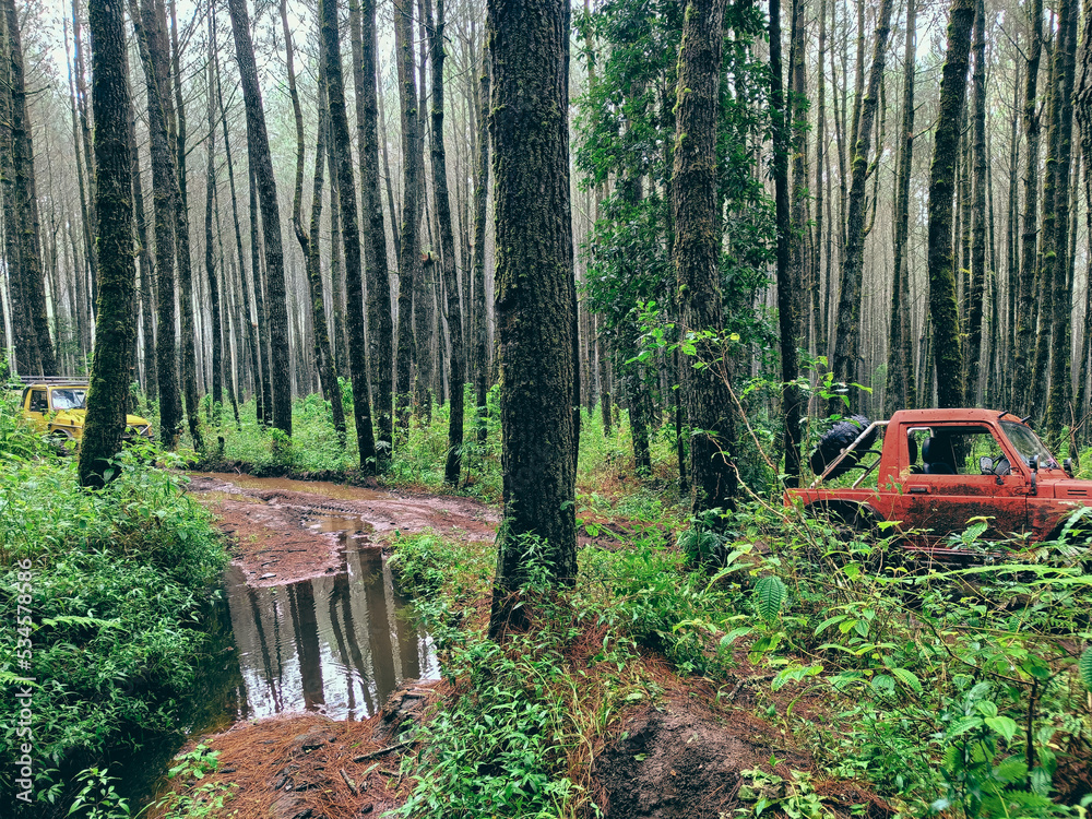 Epic Group Off Road Car 4x4 Ride on Tropical Jungle Dirt Road in Wet ...