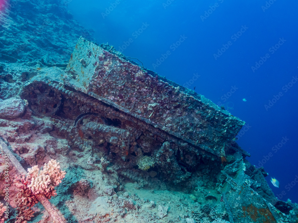 Submerged military tracked vehicles and support vehicles at Ras Peter or Tank Reef dive site in ...