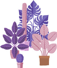 Picasso Cacti Garden Free Stock Photo - Public Domain Pictures