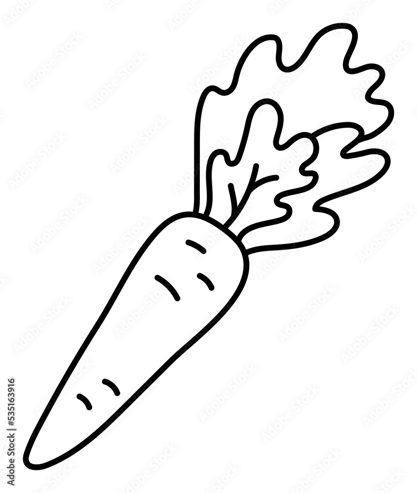 Carrot. Vegetable sketch. Thin simple outline icon. Black contour line ...