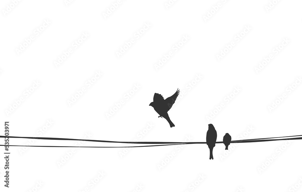 Birds couple sitting on wire. Love , divorce, separation silhouette ...