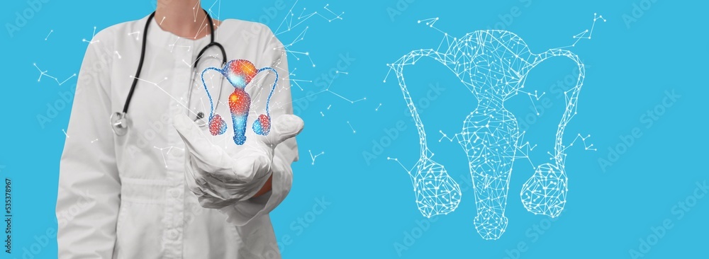 A hologram of the male reproductive system in the doctor's hands. A ...