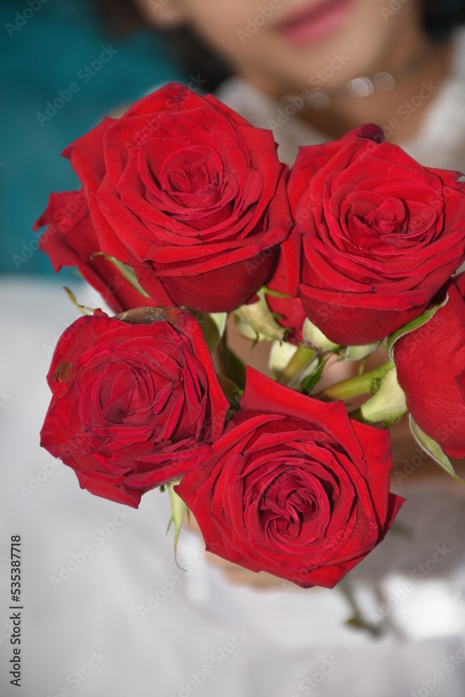 rosas rojas Stock Photo | Adobe Stock