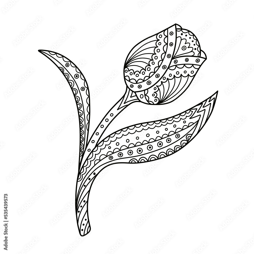 Colouring page. Tulip drawing. Hand drawn illustration. Stock ...
