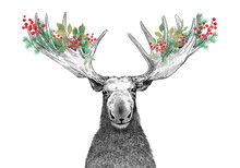 Winter Forest Moose Art Print Free Stock Photo - Public Domain Pictures