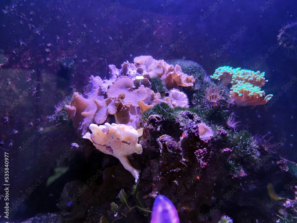 Fish Tanks at the Haus des Meeres - Aqua Terra Zoo in Vienna - An ...