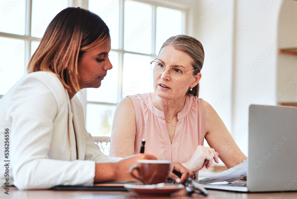 Foto de Stock Mentor, leader and business woman coaching a young ...