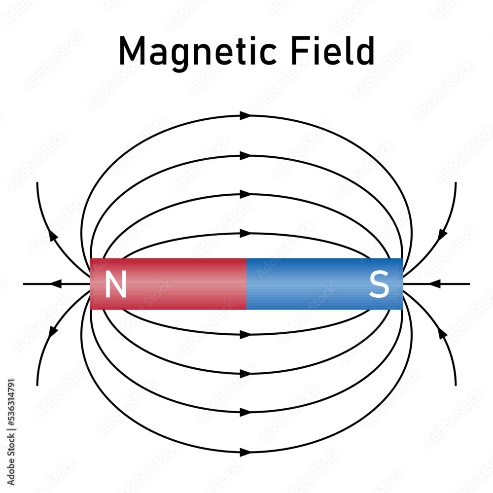 Magnetic field of a bar magnet diagram. scientific vector illustration ...