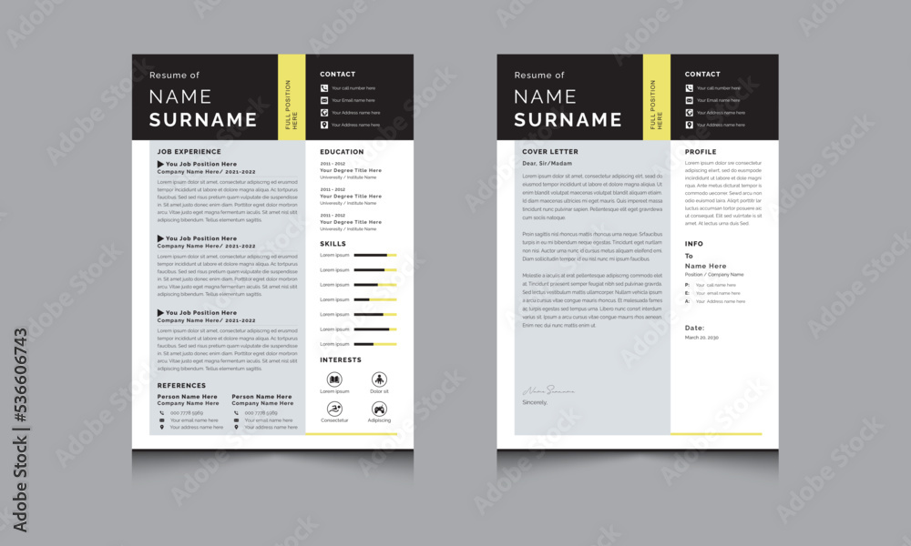 Professional resumes format, cv template, cover letter layout for ...