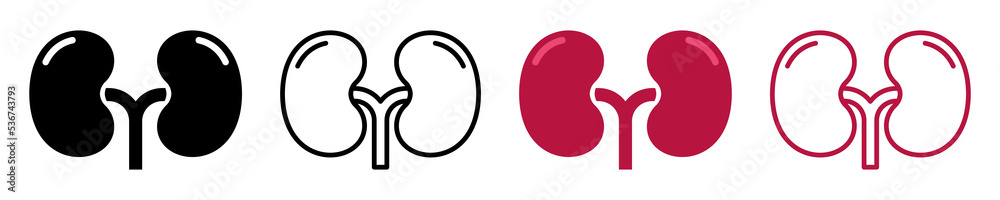 Set of human kidney vector icons. Silhouette with internal organs ...