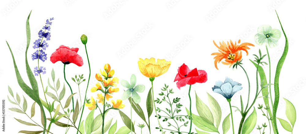 Watercolor spring flowers border, isolated on transparent background ...