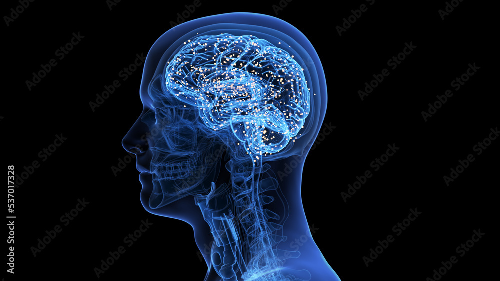 3d rendered medical illustration of active signals in a human brain ...
