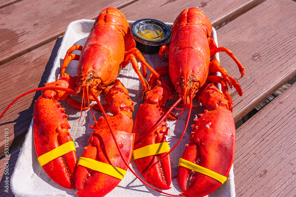 Freshly steamed lobsters on the plank table of the restaurant at the ...