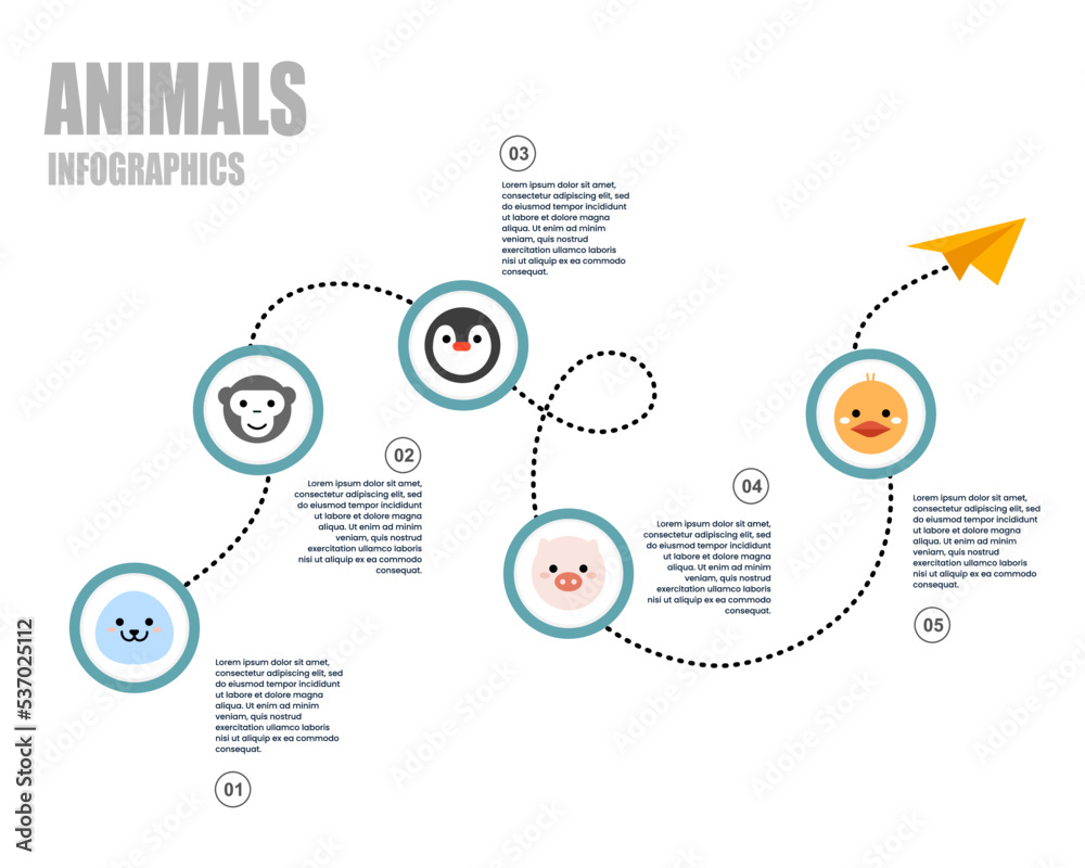 5 Steps of Timeline infographic template for Animals Study. Can be used ...