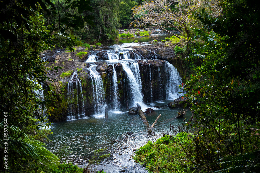 tropical rainforest waterfall in the atherton tablelands in queensland ...