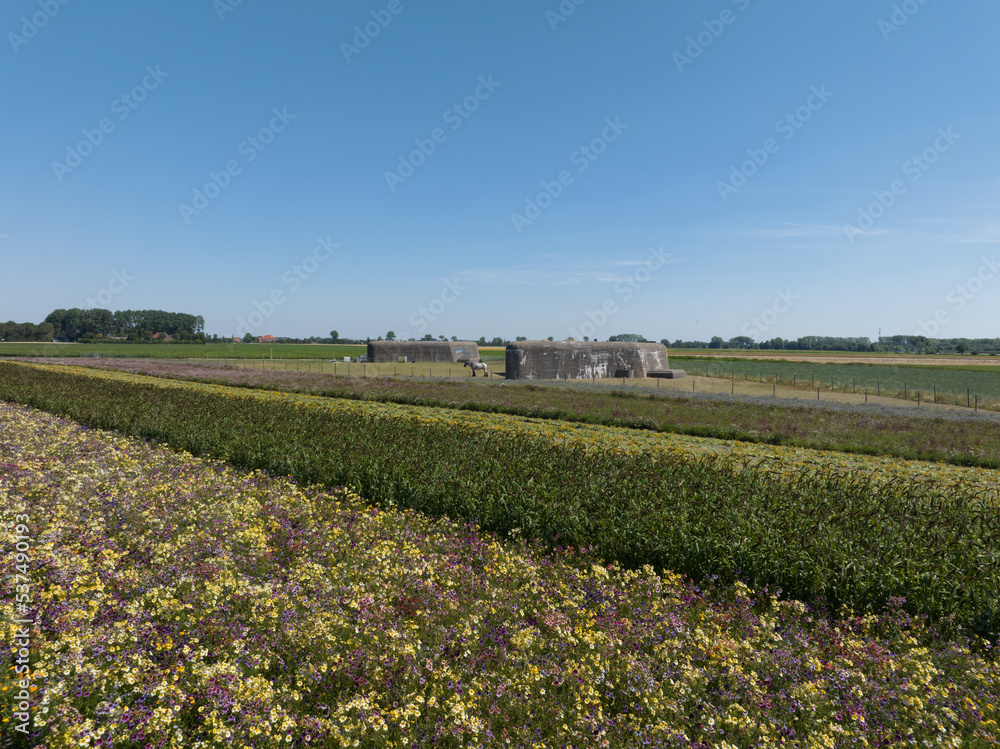 World war 2 WW2 bunker fortification military defense structure in a ...
