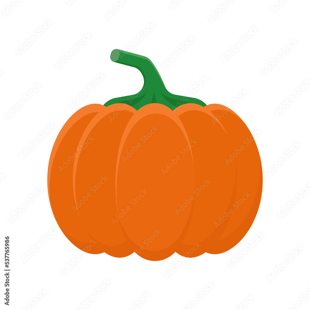 Pumpkin.Color vector illustration in cartoon flat style. PNG with ...