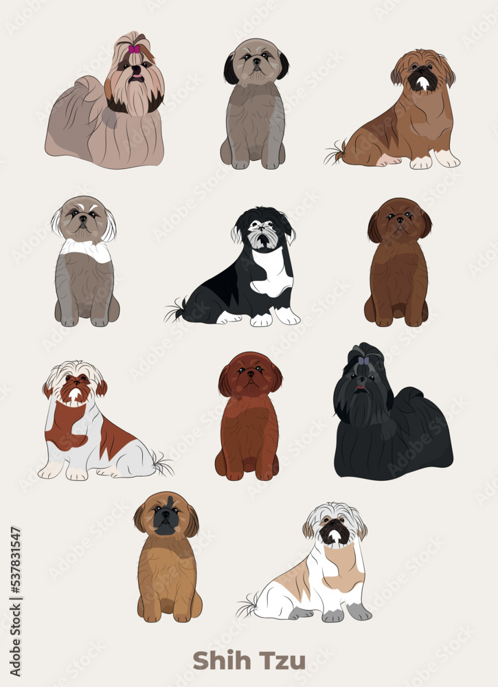 Shih Tzu drawing. Cute dog characters in various poses, designs for ...