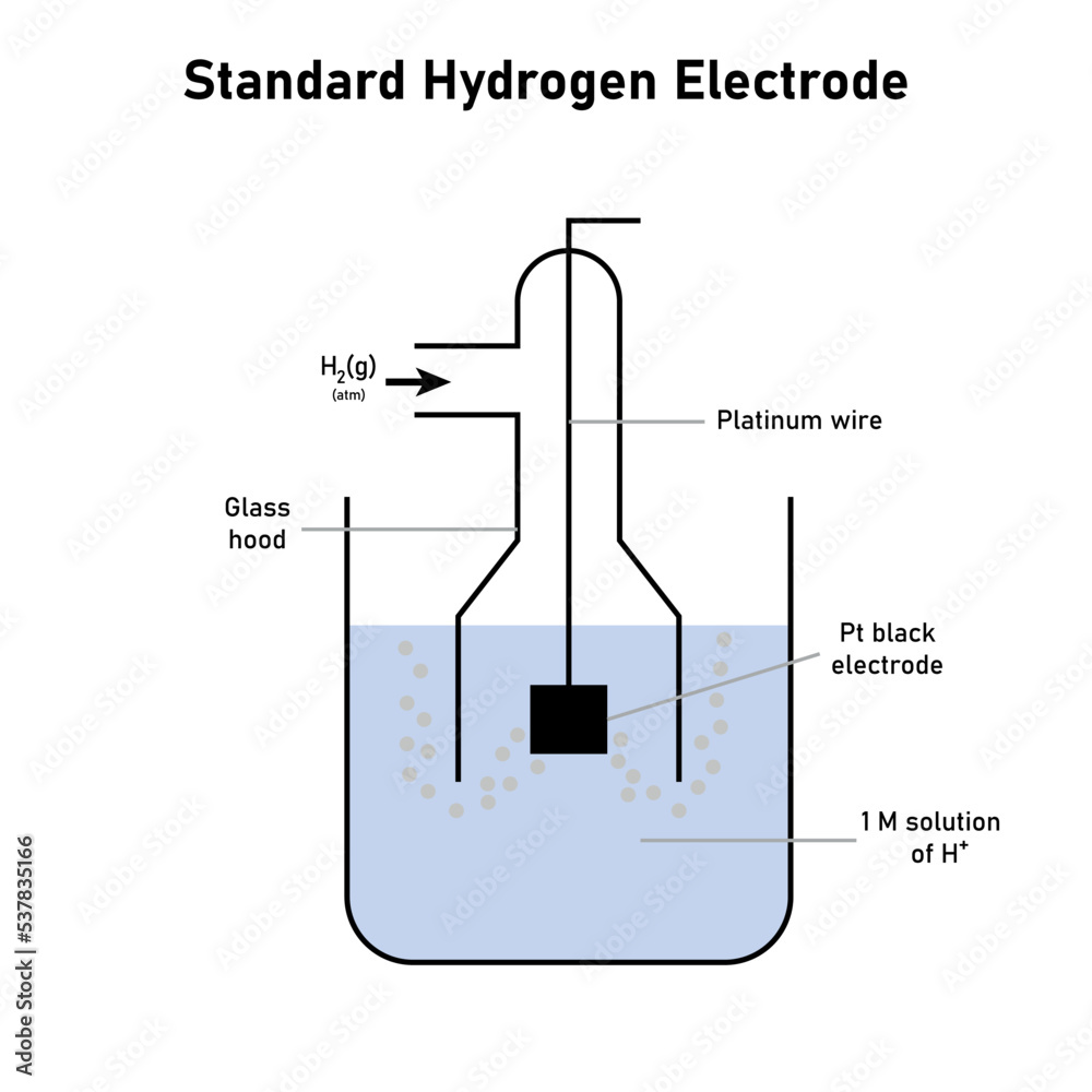 Standard hydrogen electrode diagram. Scientific vector illustration isolated on white background ...