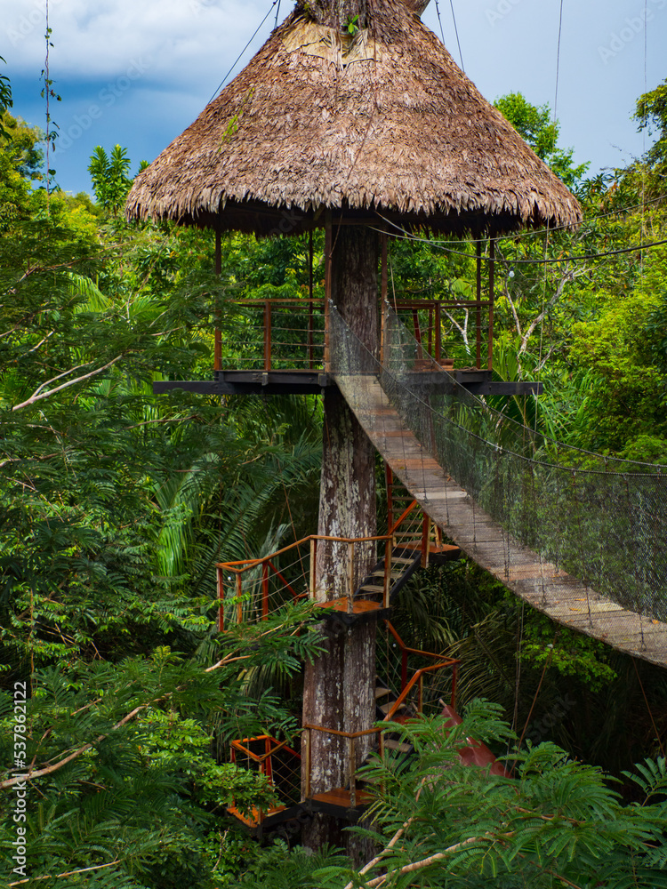 Glamping accommodation in the Amazon rainforest. Wooden treehouse ...