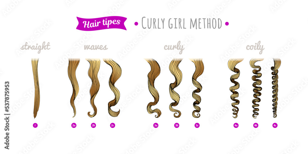 Scheme of curly hair of different types. Straight, waves, curly, coily ...
