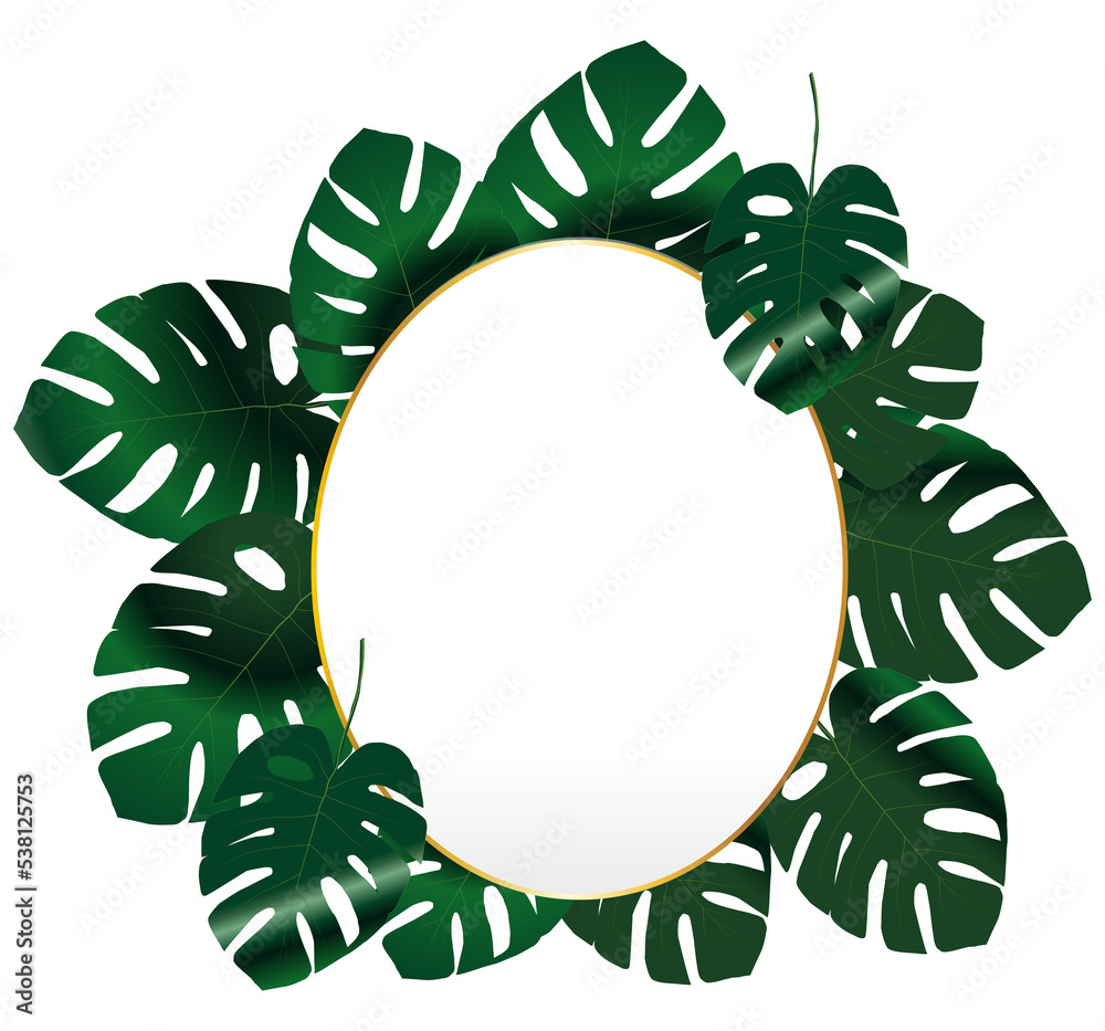 PNG. Green monstera leaf banner. Tropical plant jungle leaves with ...
