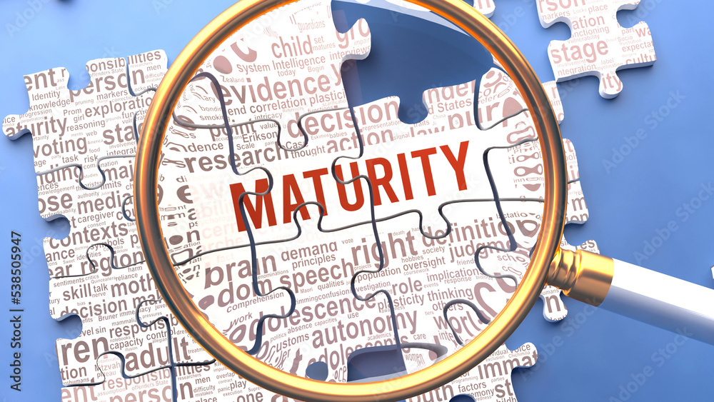 Maturity as a complex and multipart topic under close inspection ...