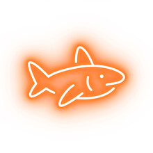 Orange Shark Free Stock Photo - Public Domain Pictures