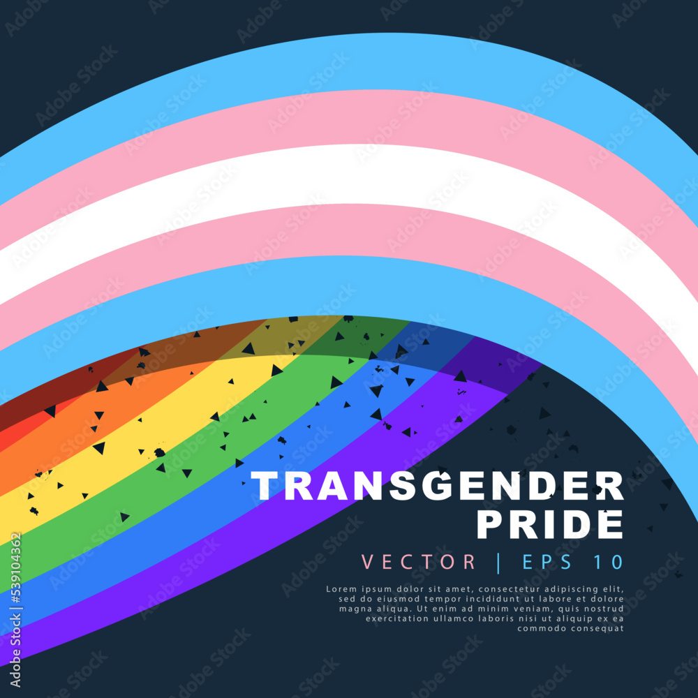 The LGBT flag and the transgender pride flag. Sexual identification ...