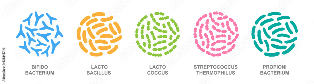 Probiotics in a circle. Good bacteria and microorganisms ...
