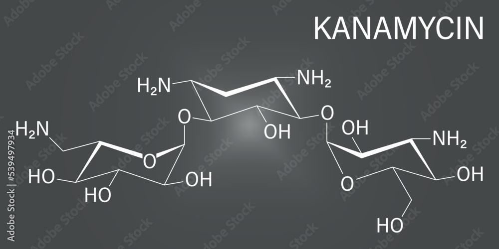 Kanamycin antibiotic drug molecule (aminoglycoside). Skeletal formula ...
