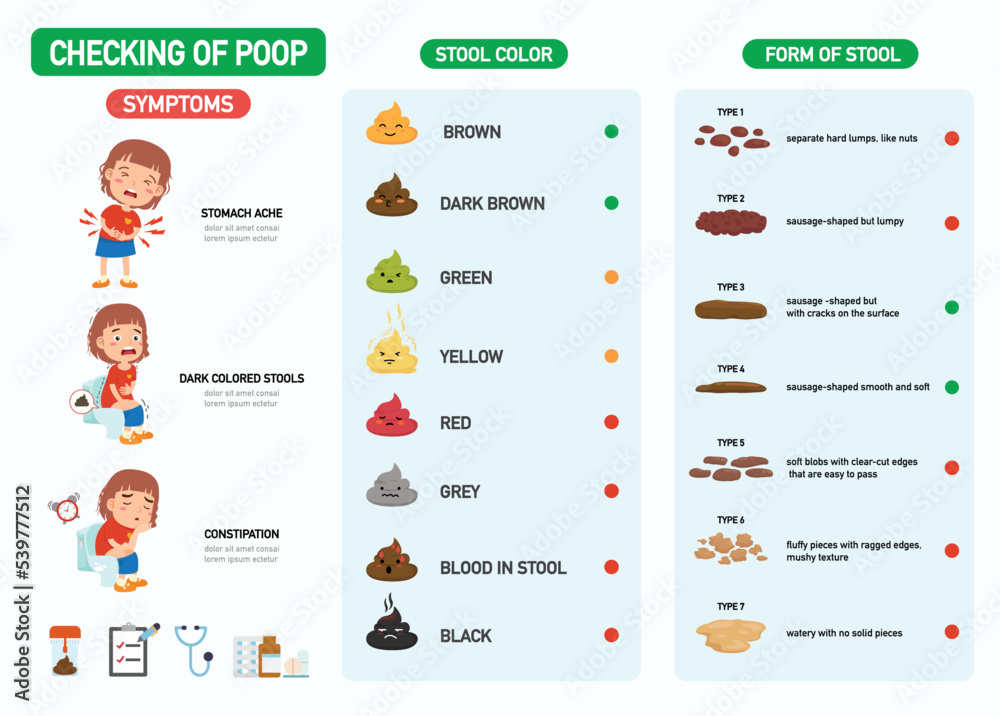 Vector de Stock Poop infographic of stool forms and color with children ...