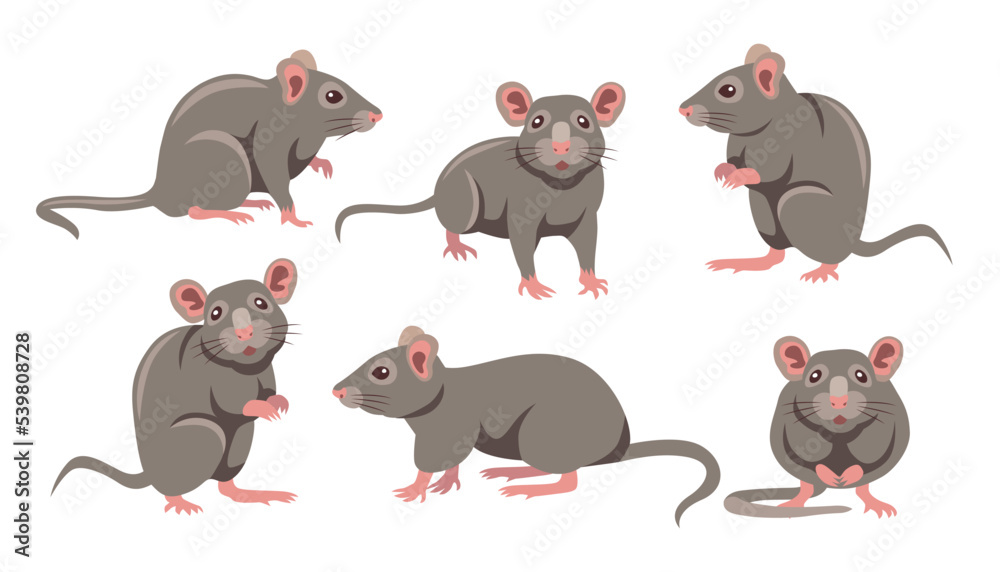Cute grey mouse in different poses cartoon illustration set. Little ...
