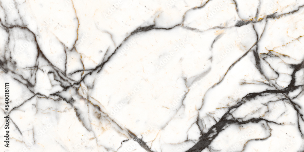 White Crystal satvario marble texture background with black-gold curly ...
