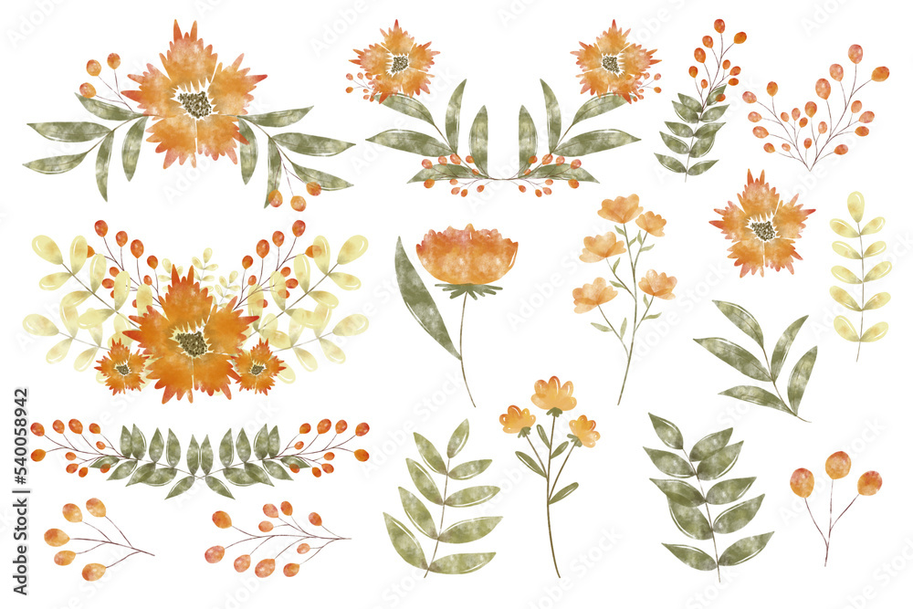 Orange watercolor flowers set elements.Botanical collection garden ...