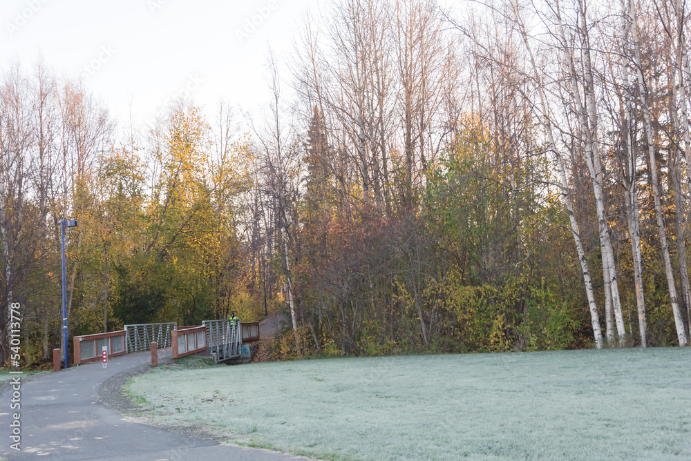 Winding path leads to empty pedestrian bridge at entrance of suburban ...