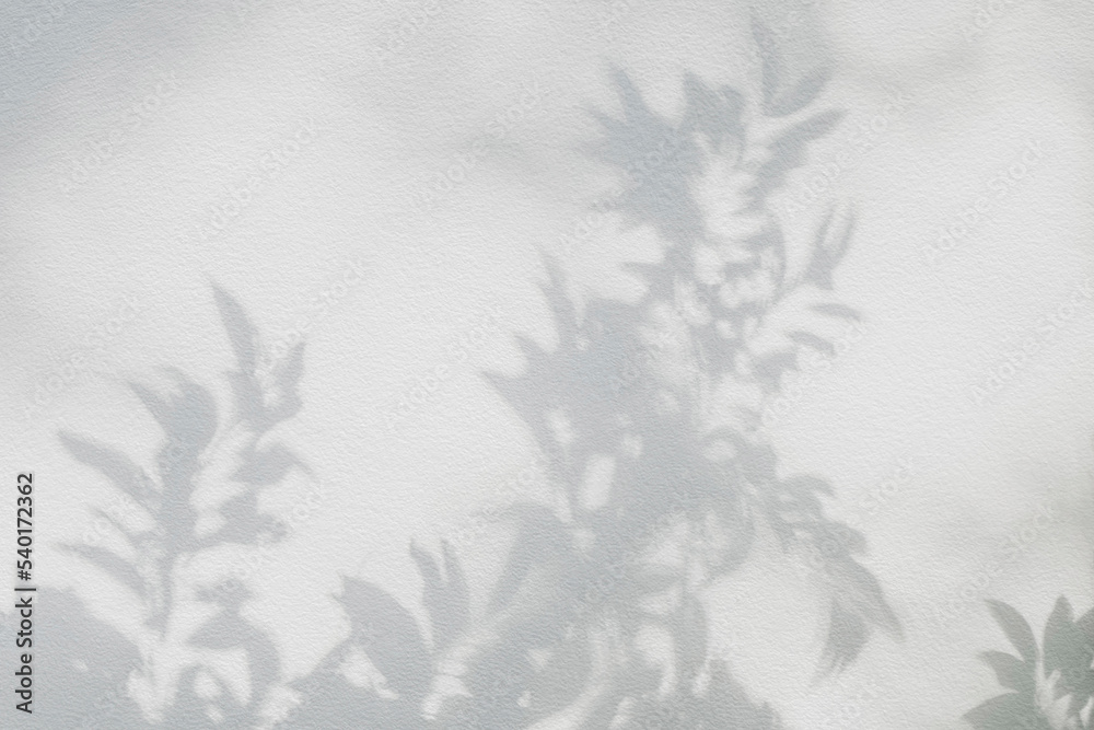 Shadow and sunshine of leaves reflection. Jungle tree gray darkness ...